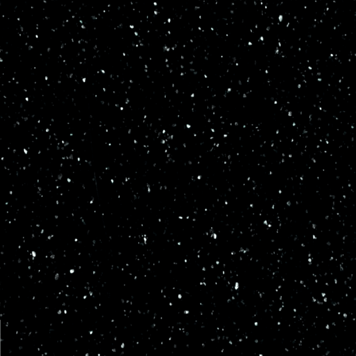 Staron Metallic Galaxy Solid Surface | Black Metallic Speckled